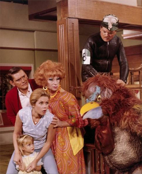 bernard fox interview